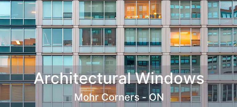 Architectural Windows Mohr Corners - Architectural Doors Repair